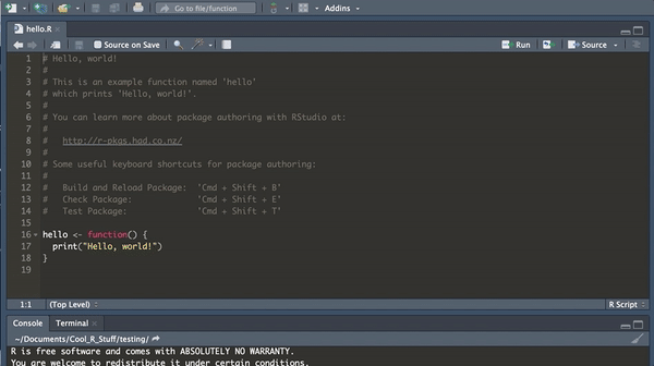 A home for your functions: Creating an R package – corinnovation